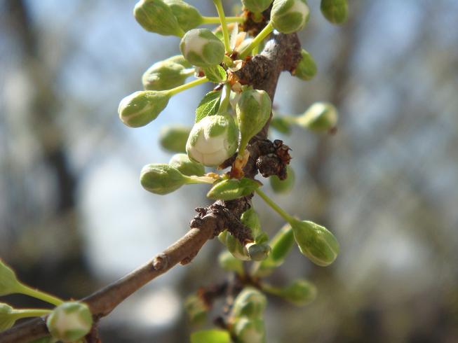 Poezia Iubirii: Pete de culoare
